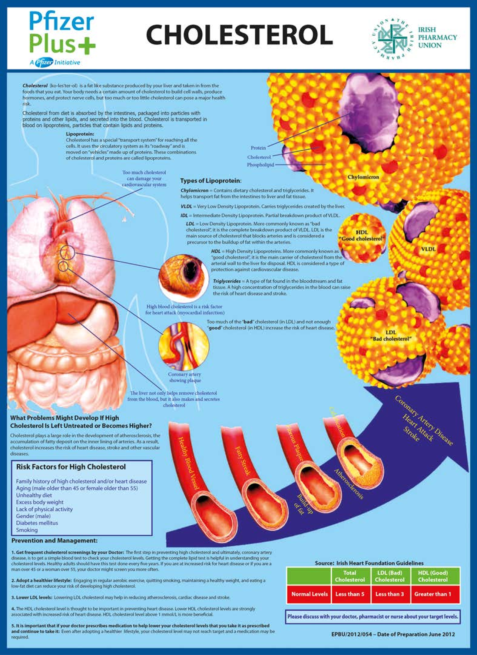 Cholesterol Posters